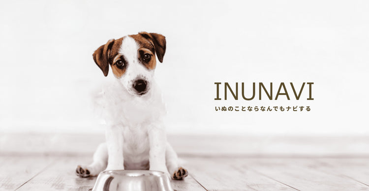 【メディア掲載情報】 INUNAVIにハッピーバースデーBOXが掲載されました – MyBESTiee